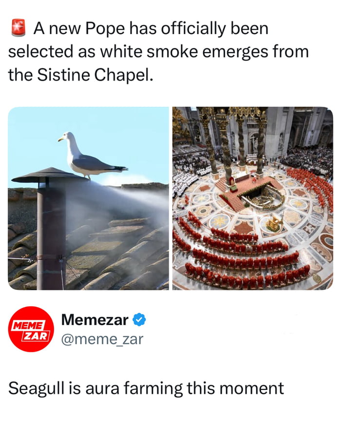 Seagull's first day as Pope - 9GAG