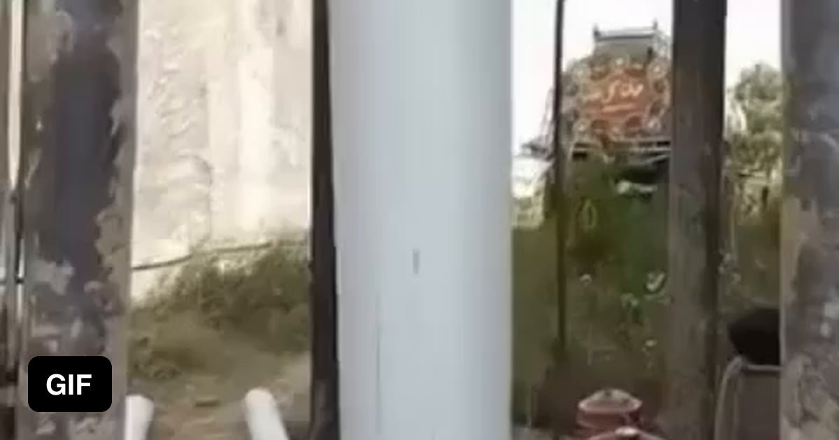 That “I told you it’s a bad idea, dumbass” dance is universal - 9GAG