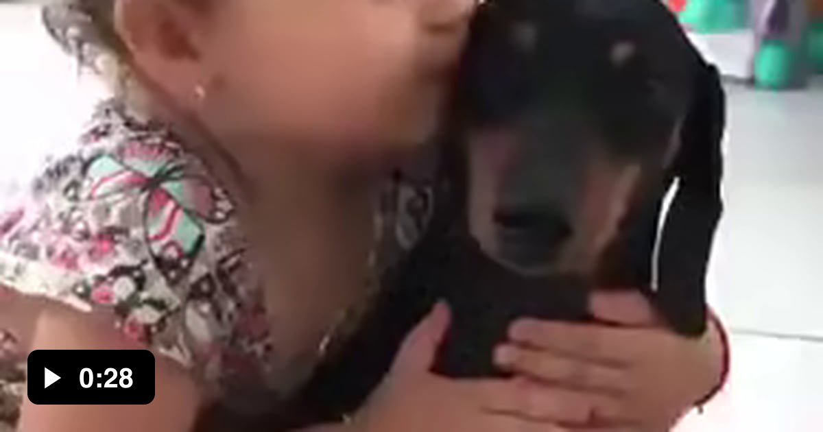 Insane parents pierce their child and force it to socialize with dogs - 9GAG