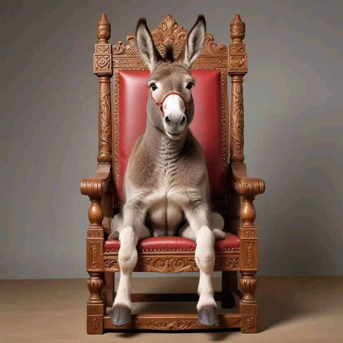 Now that supreme leader is back to being supreme leader, we can all ...