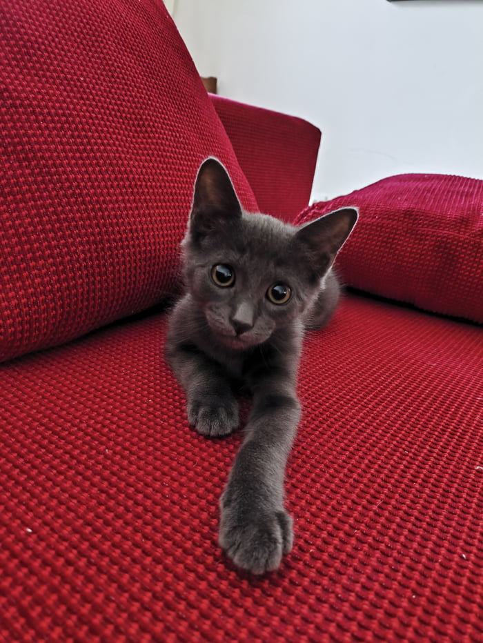 Say hello to Dudu - 9GAG