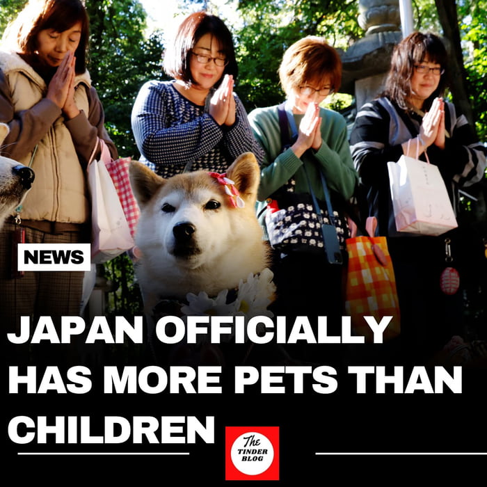 A changing landscape where furry companions outnumber the youngest generation. - 9GAG