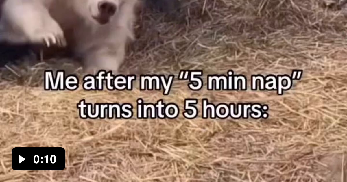Waking up from that 'short' nap like... - 9GAG