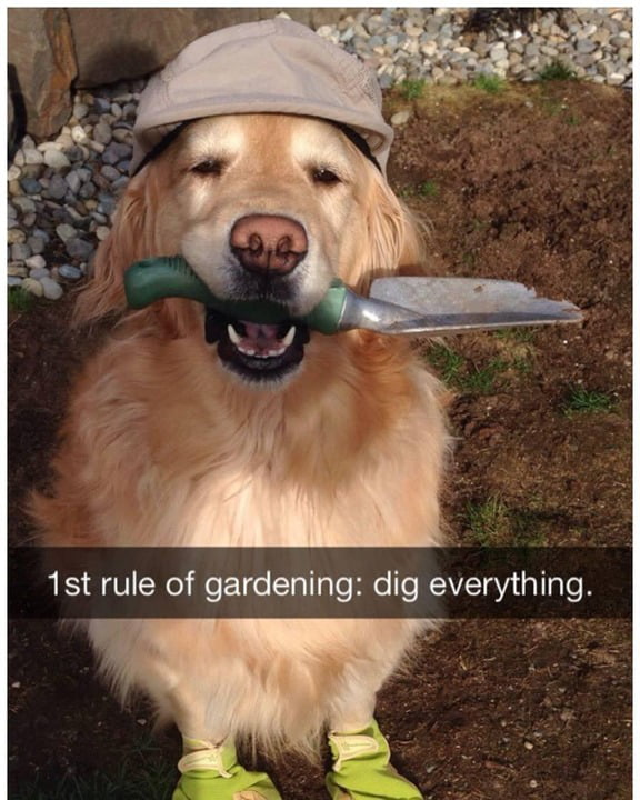 Ready for some serious digging - 9GAG