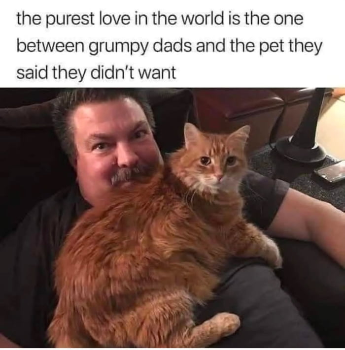 The purest love is between a grumpy dad and the pet he initially didn't want. - 9GAG