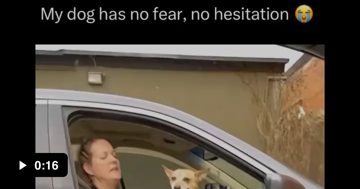 That dog took the invitation very seriously - 9GAG