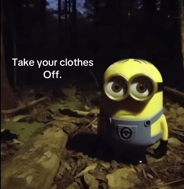 Excuse me, Mr. Minion? - 9GAG