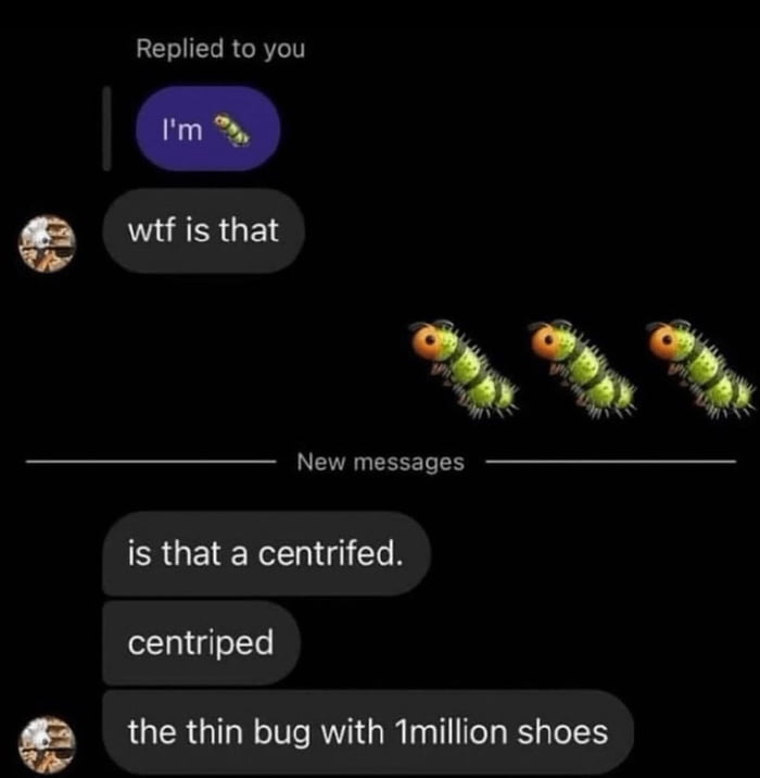 Okay, 'the thin bug with 1million shoes' is my new spirit animal ...