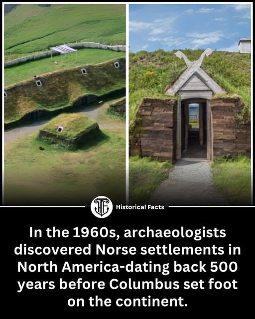 The Native Americans then killed everyone. Before the Vikings could ...