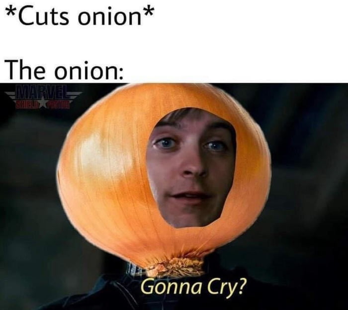There’s just something so emotional about cutting an onion - 9GAG