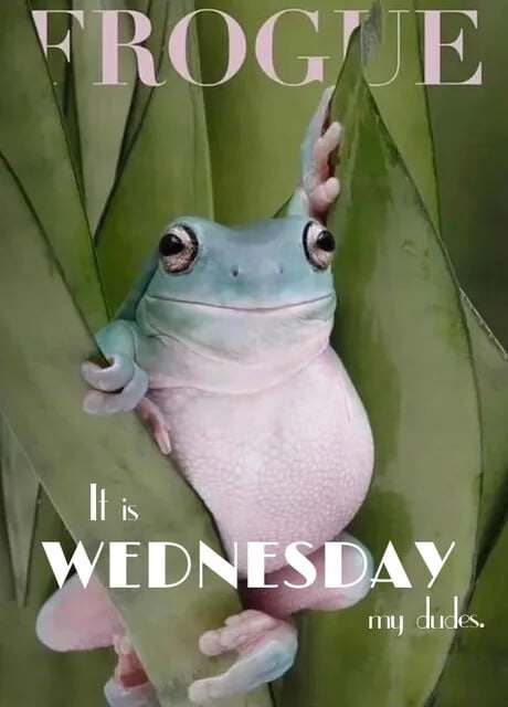 The day between Tuesday and Thursday - 9GAG