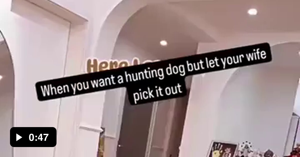 Cuteness level: infinity - 9GAG