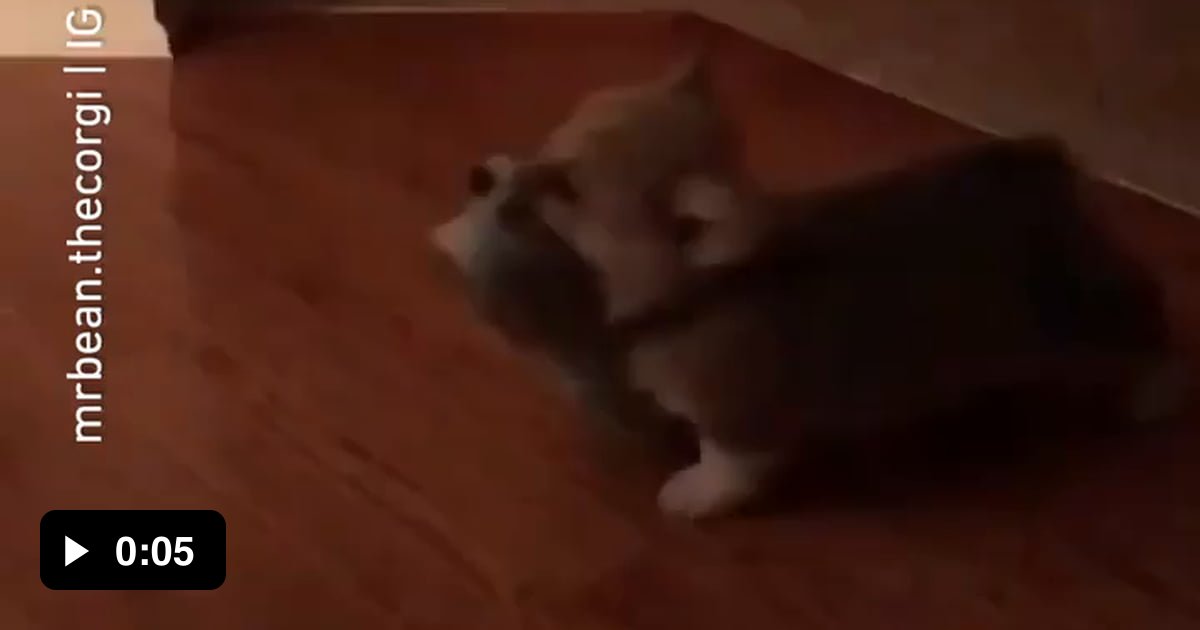 He just had a really ruff day - 9GAG