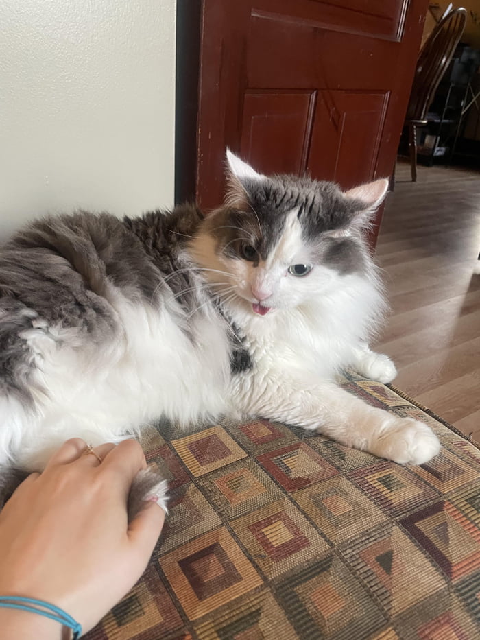 “Unhand me mother!” - 9GAG