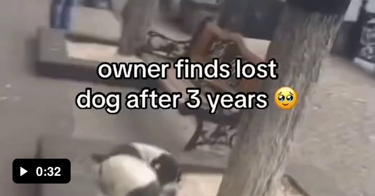 Jorge has been found - 9GAG