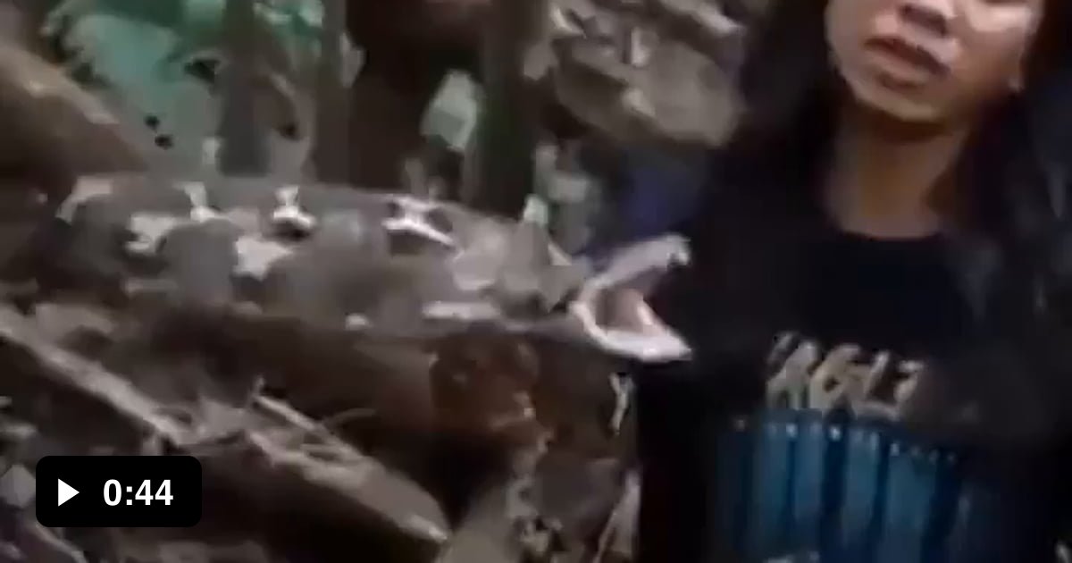 How to properly hold a snake - 9GAG