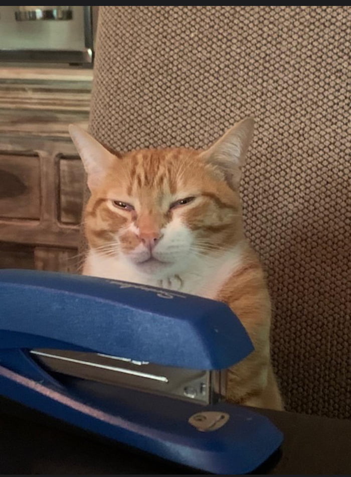 Office Manager - 9GAG