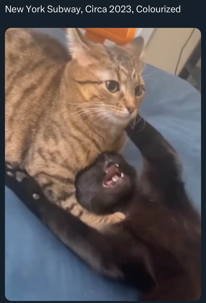 Daniel Penny is a hero. - 9GAG