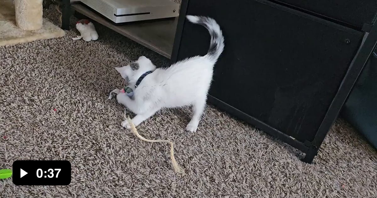 He was acting cute, so here's some more Cloud - 9GAG