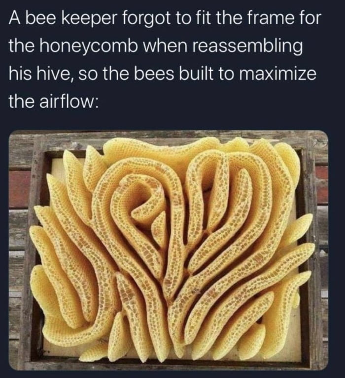 Beeing smart, beeing cool - 9GAG