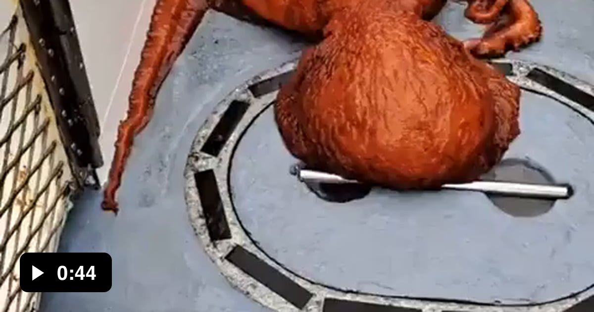 Comments are going to be lit! - 9GAG