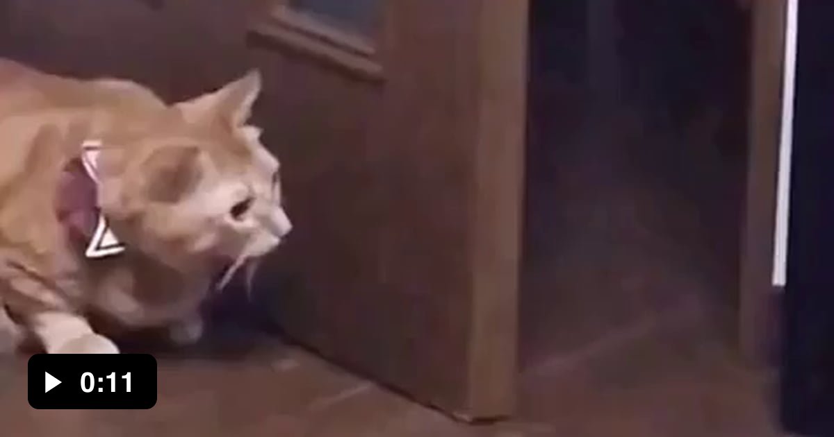 Achieving maximum derp! - 9GAG