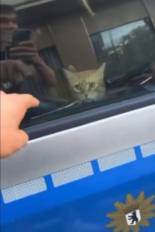 Gatze did nothing wrong! - 9GAG