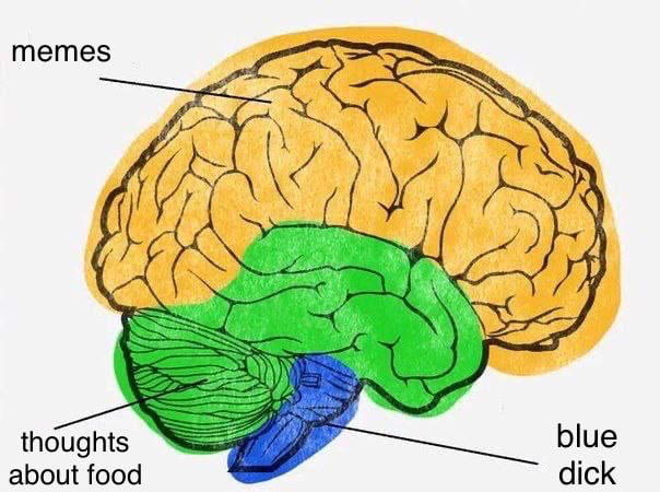 What are you thinking about? - 9GAG