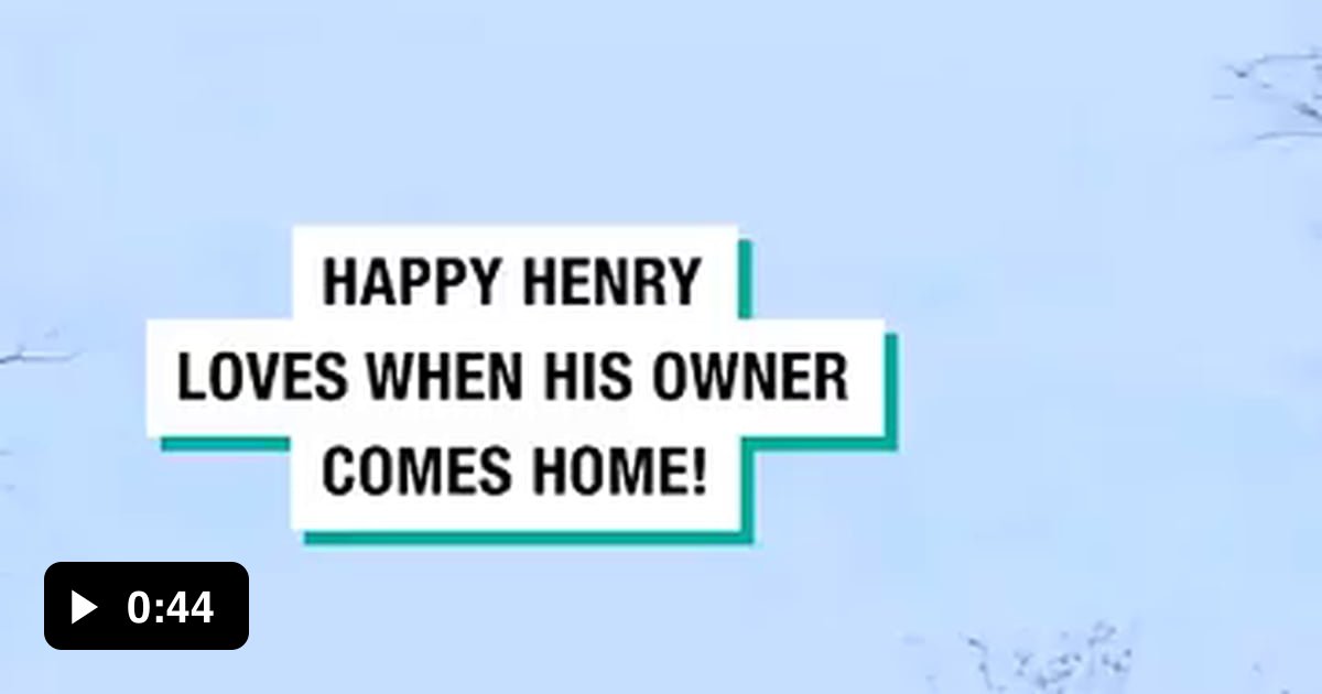 Happy Henry! - 9GAG