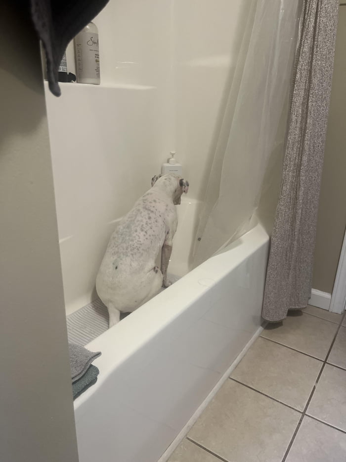 Nothing sadder than Haru at bath time. - 9GAG