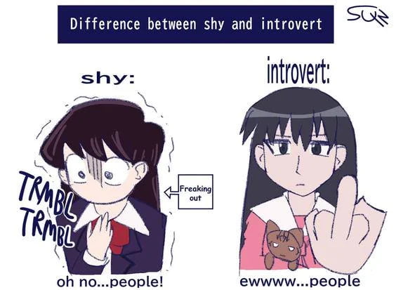 Difference between shy and introvert - 9GAG