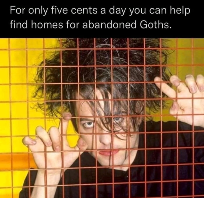 Seeking The Cure - 9GAG