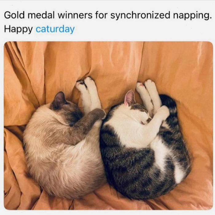 Synchronized double tuck, impressive! - 9GAG