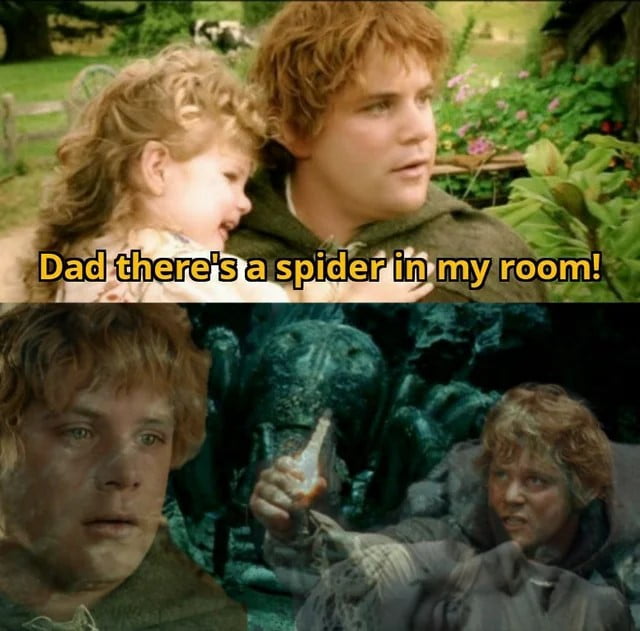 We're damned, uncle Frodo took the repellent to the Undying Lands - 9GAG